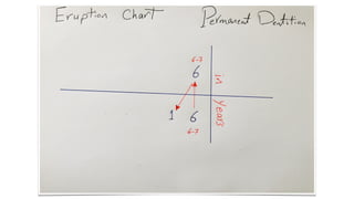 Lab.8. B. Eruption Chart Permanent.pdf