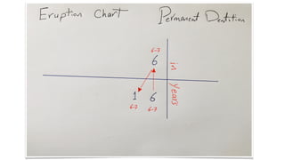 Lab.8. B. Eruption Chart Permanent.pdf