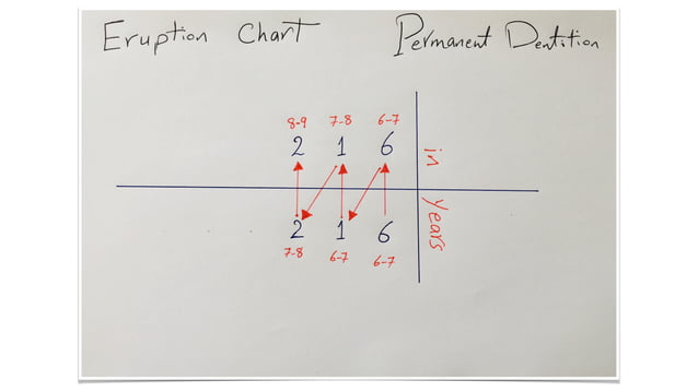 Lab.8. B. Eruption Chart Permanent.pdf | Dental Health | Diseases and ...