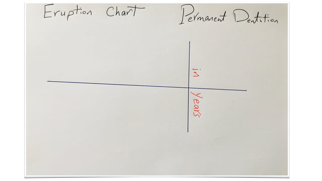 Lab.8. B. Eruption Chart Permanent.pdf | Dental Health | Diseases and ...