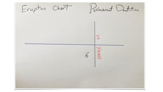 Lab.8. B. Eruption Chart Permanent.pdf