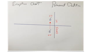 Lab.8. B. Eruption Chart Permanent.pdf