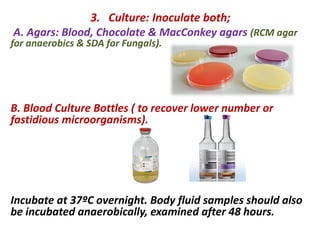 Lab.3- Body Fluid Analysis II -Serous fluid analysis-Pericardial.pdf