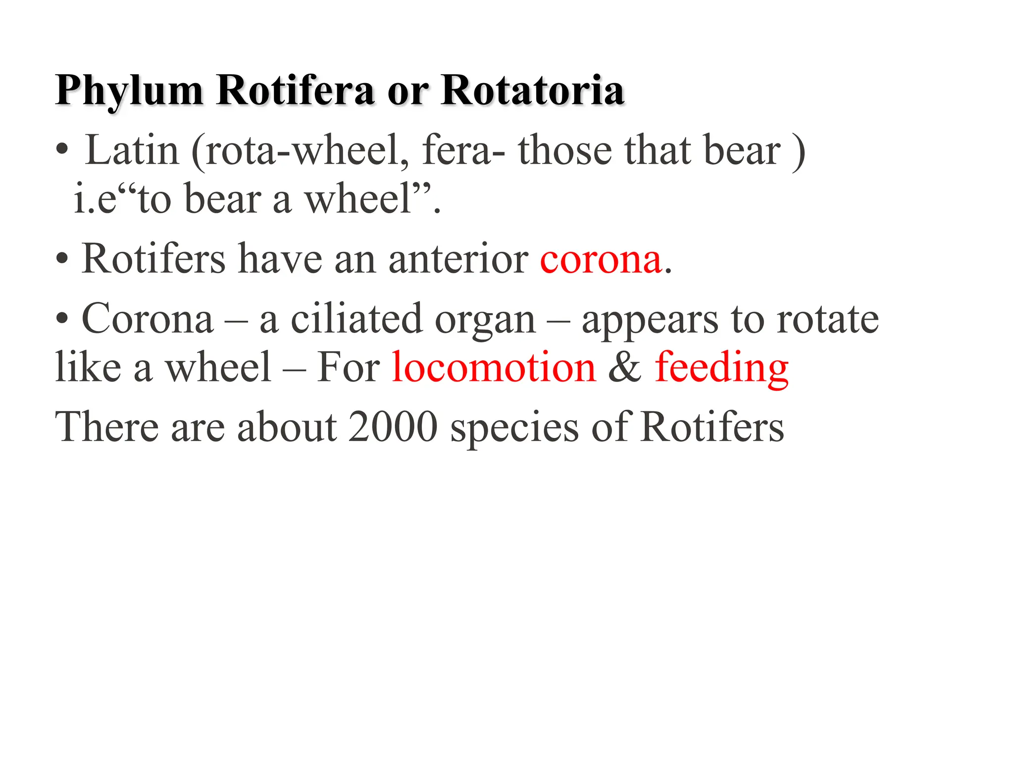lab.3.A.pptx................................... | PPTX