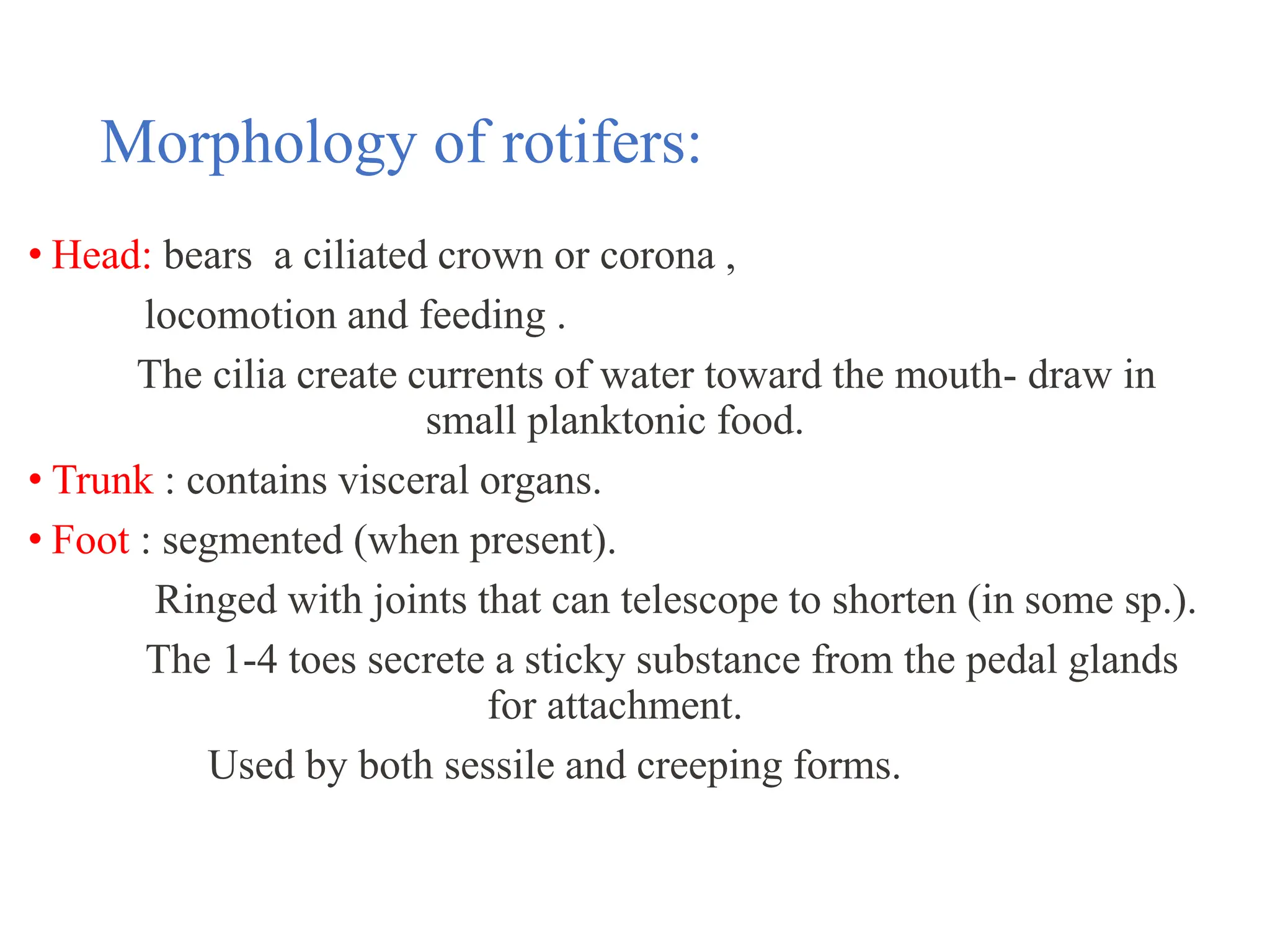 lab.3.A.pptx................................... | PPTX