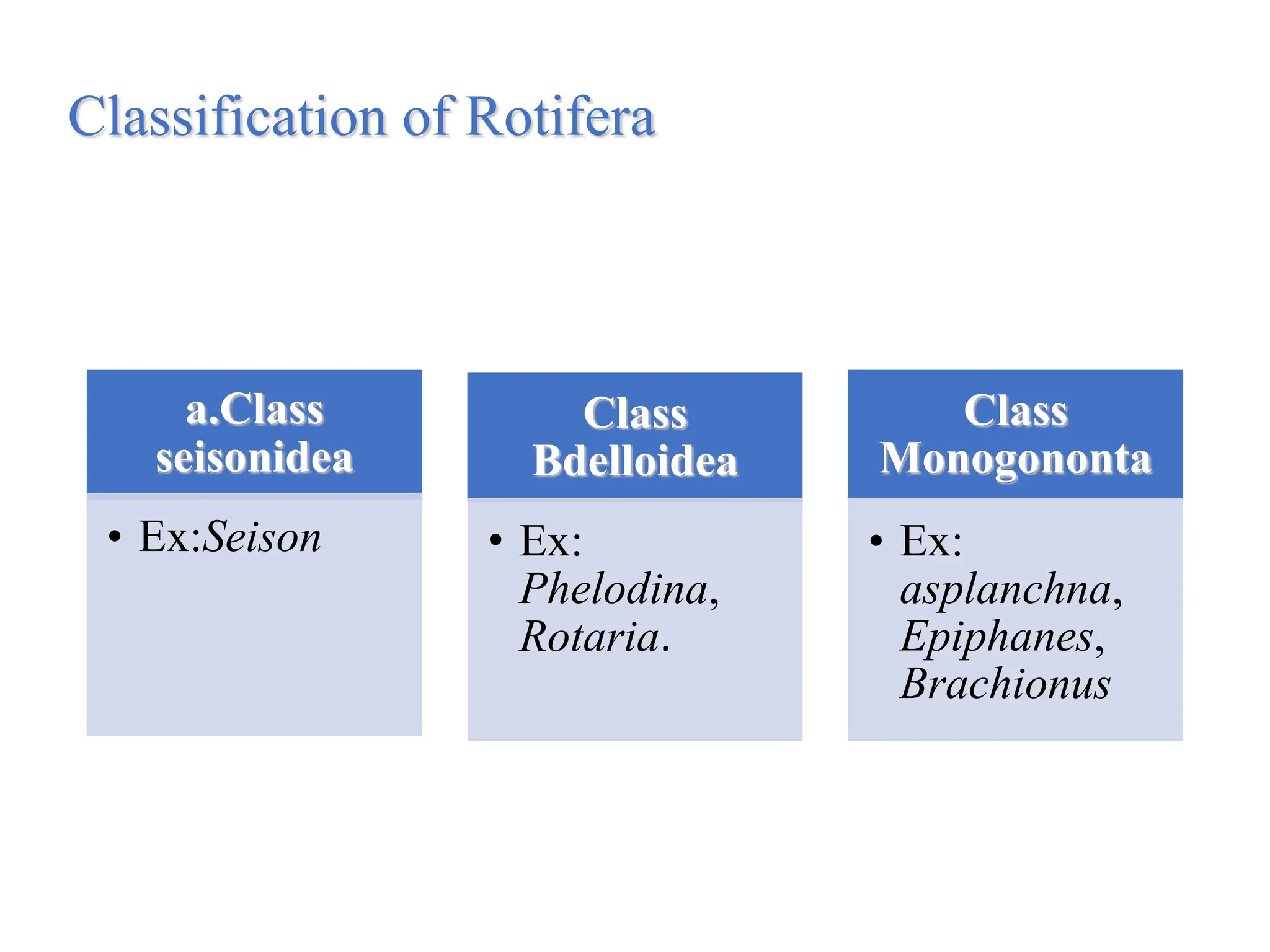 lab.3.A.pptx................................... | PPTX