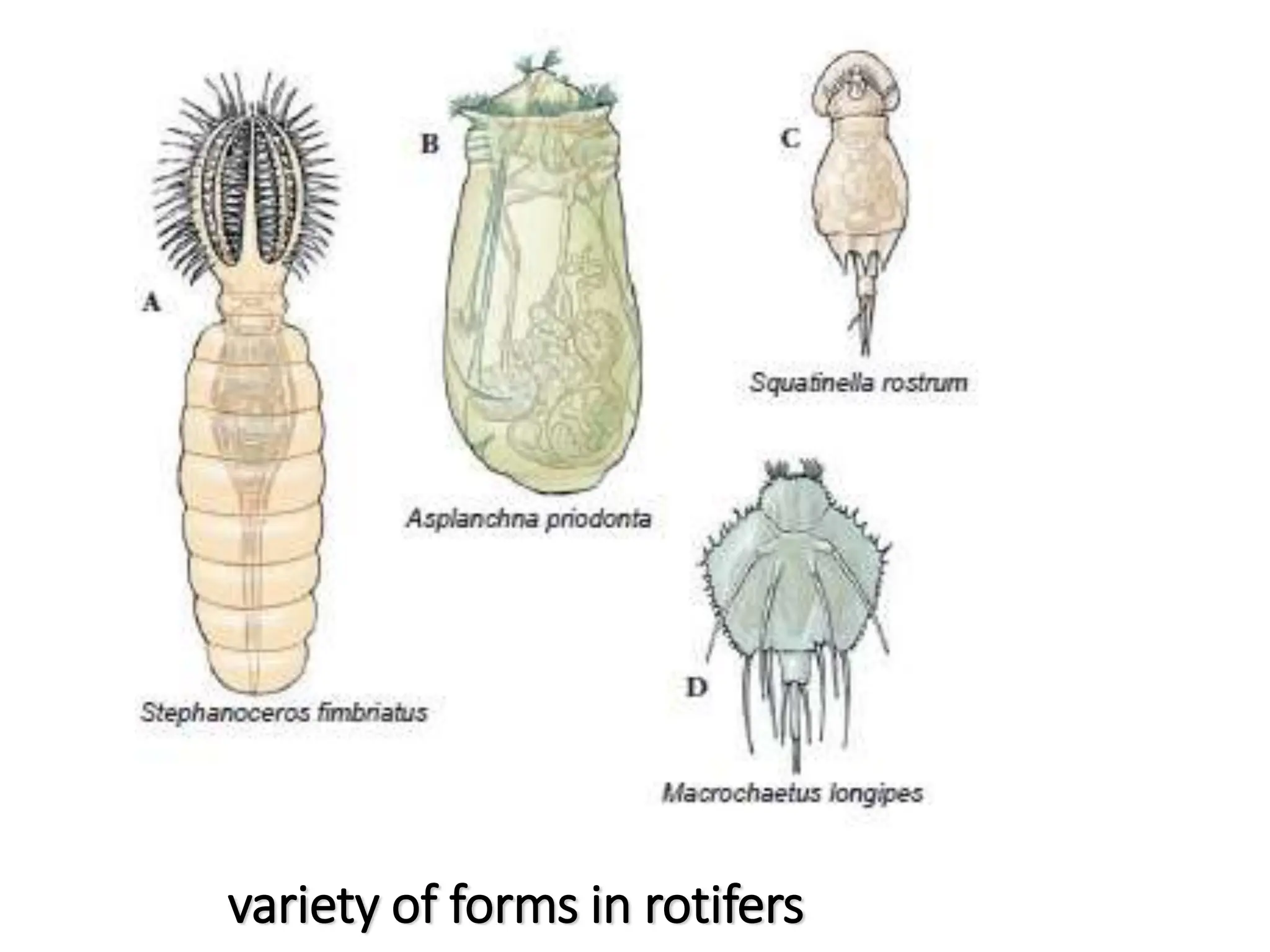lab.3.A.pptx................................... | PPTX