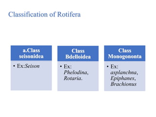 lab.3.A.pptx................................... | PPTX