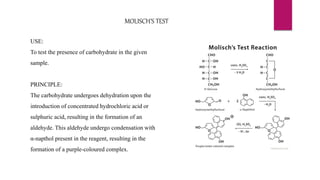 Lab colour reactions of carbohydrates.pptx