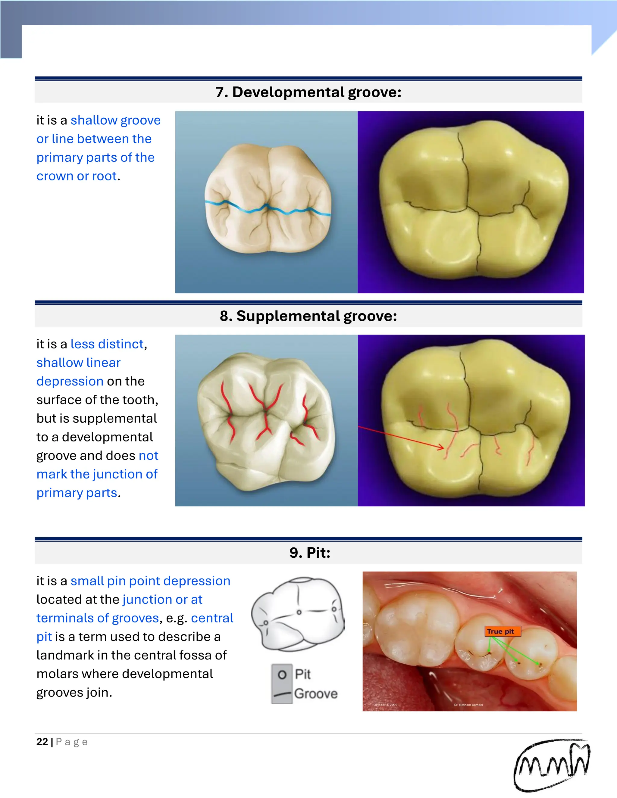 Handbook of Dental anatomy (practical part) | PDF