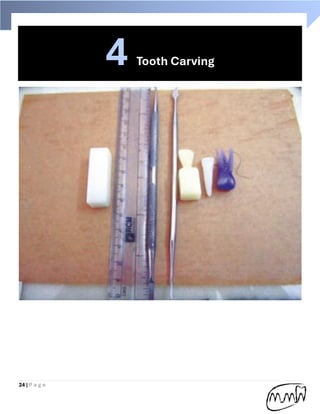 Handbook of Dental anatomy (practical part) | PDF