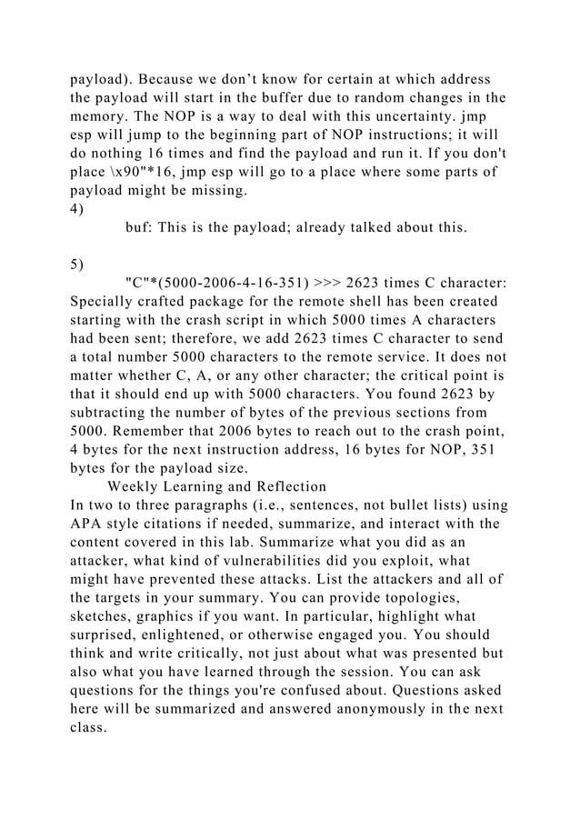 Lab 2 Buffer Overflow In This Lab You Will Gain Insight Pdf 3576