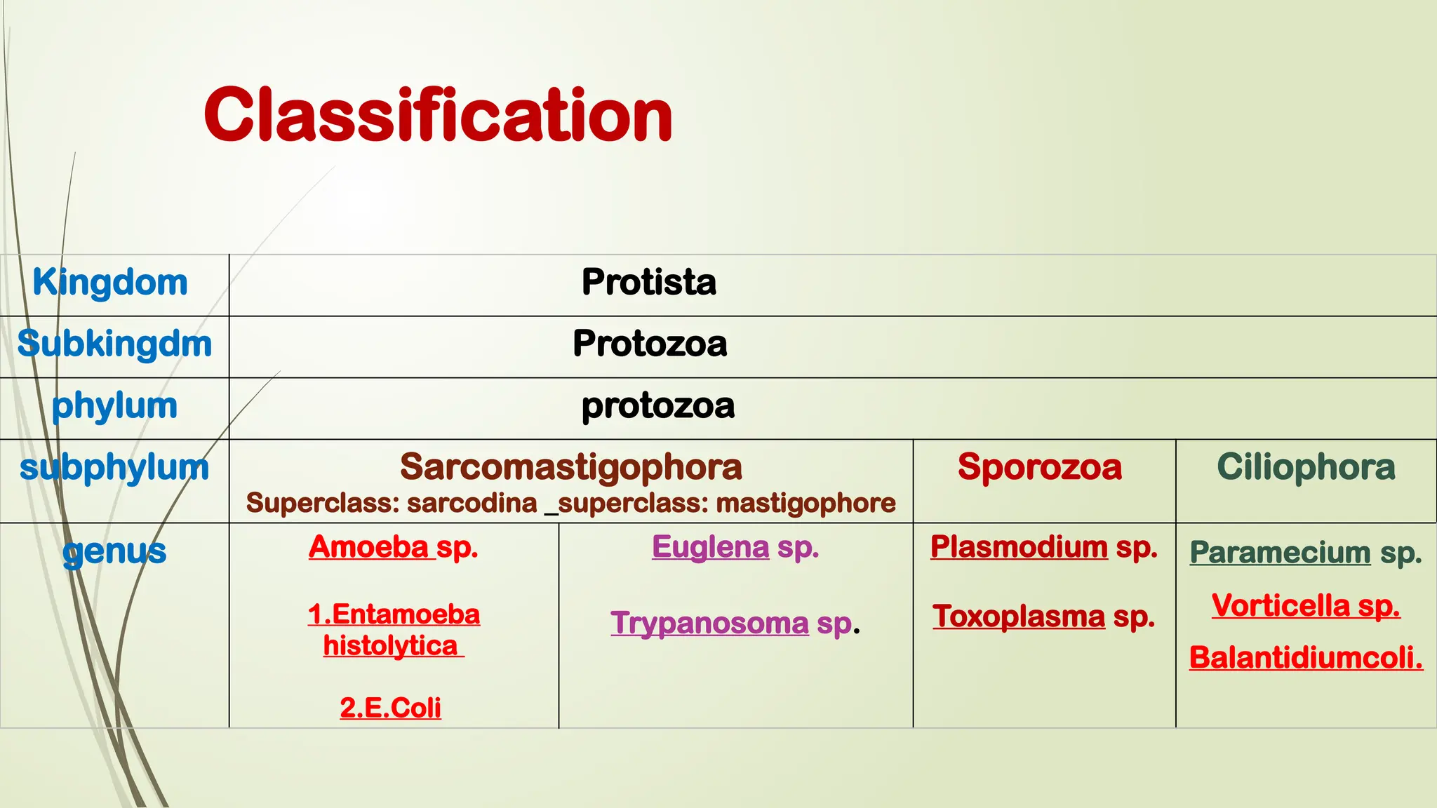 Protozoapptformedicalstudentsslidepwoerpoint.pptx