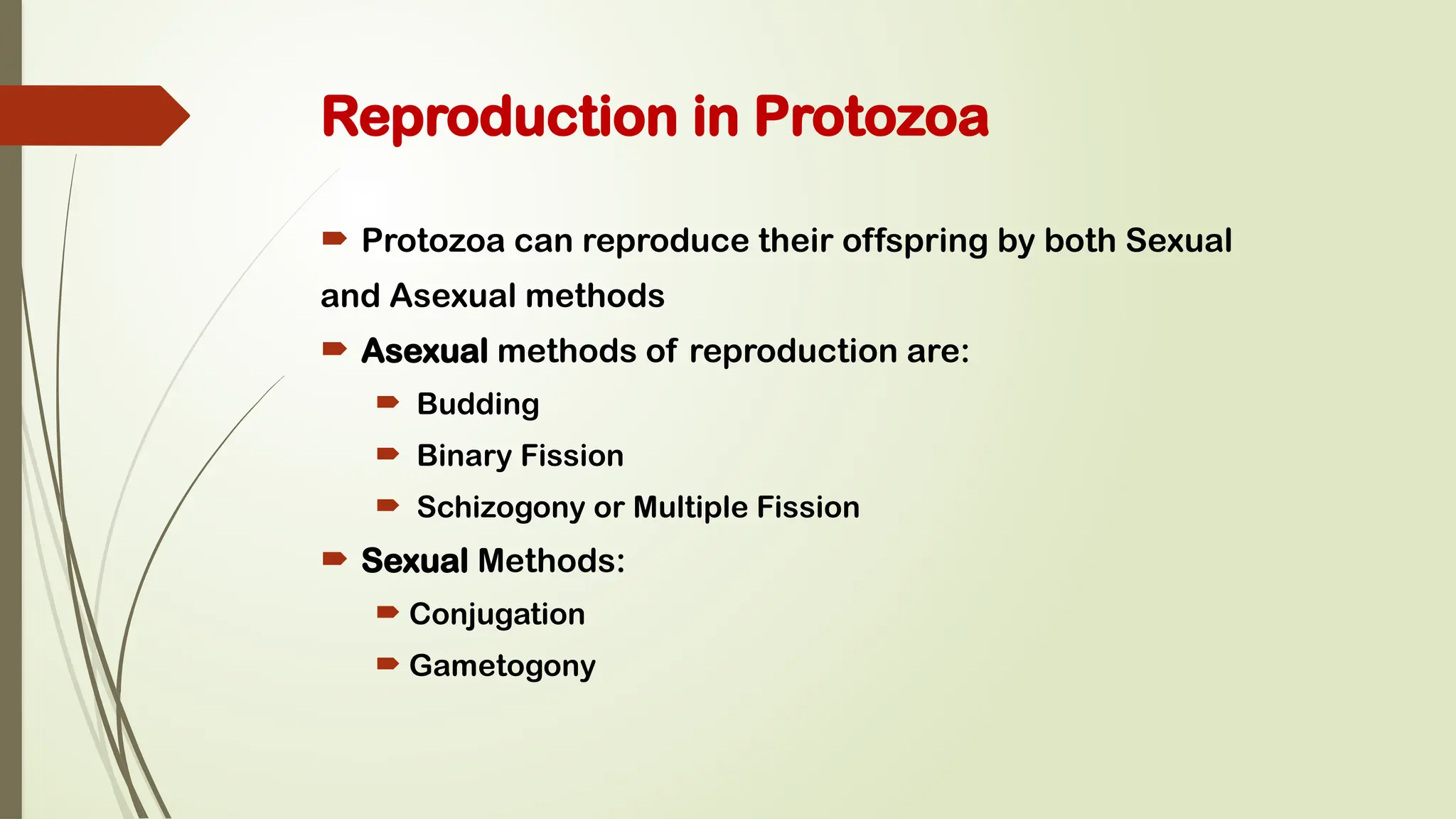 Protozoapptformedicalstudentsslidepwoerpoint.pptx