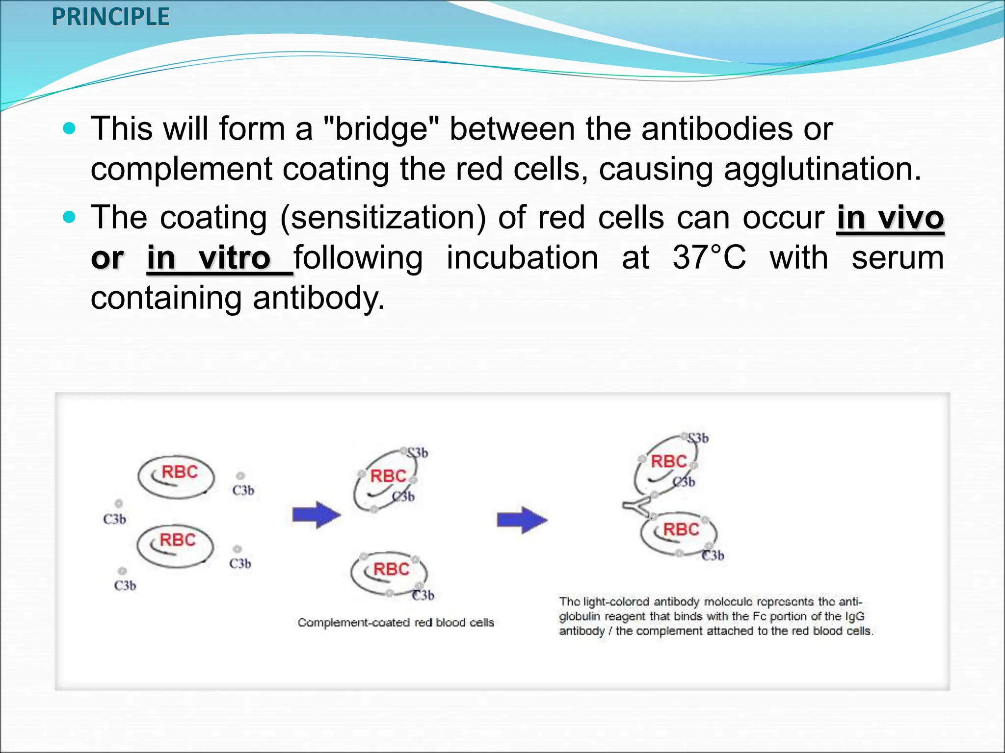 Lab-5-Coombs-Tests in detailed description | PPT