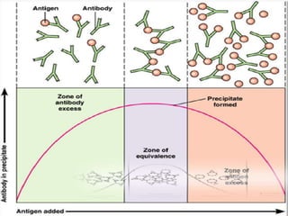 Lab-5-Coombs-Tests in detailed description | PPT