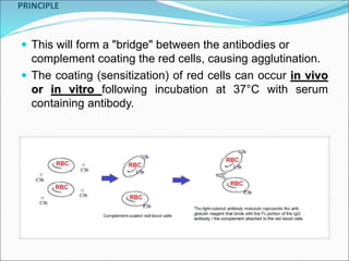 Lab-5-Coombs-Tests in detailed description | PPT