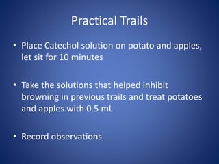 Lab-5-Enzymatic-Browning-as-Quality.pptx | Chemistry | Science