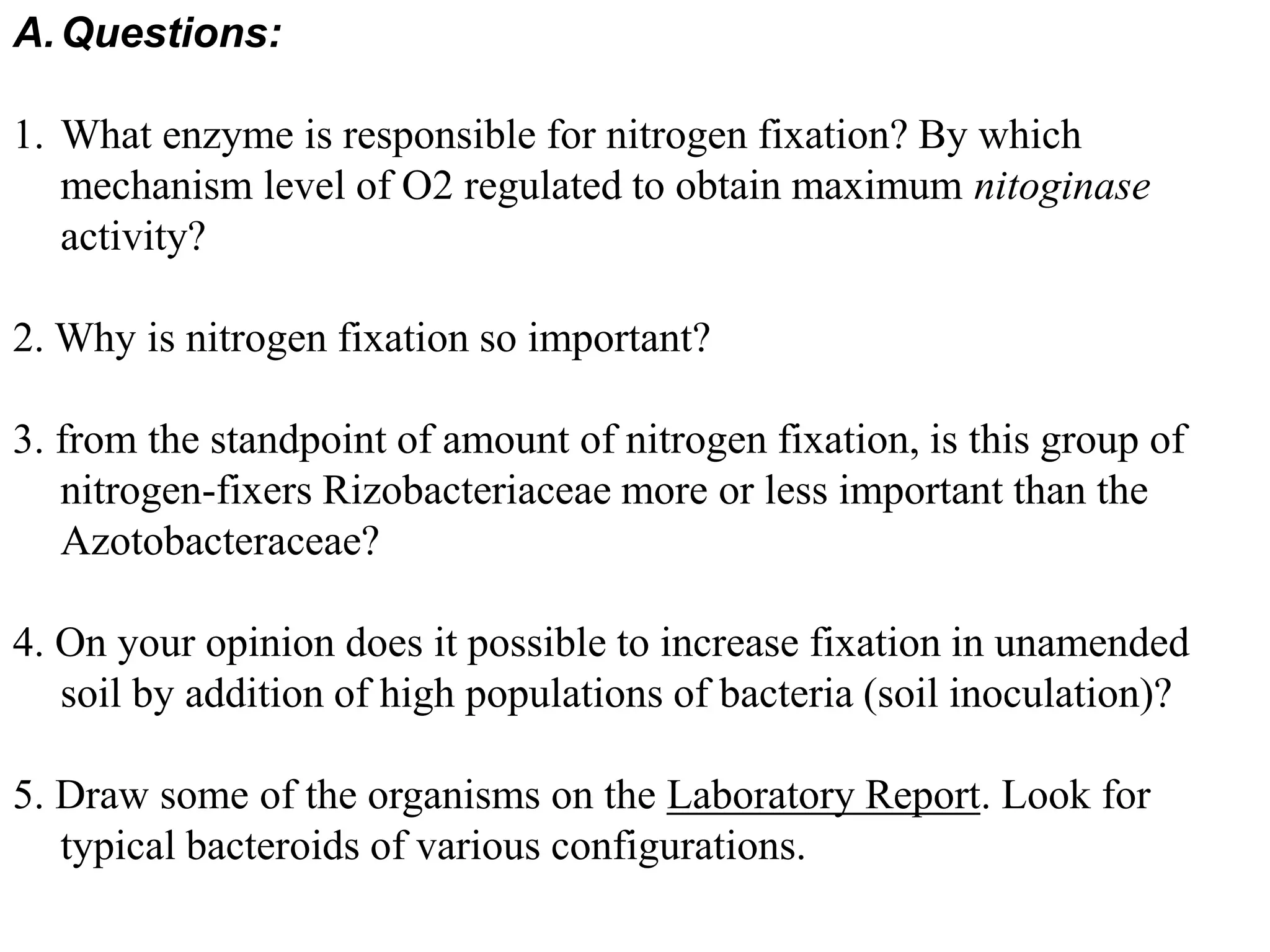 Lab.8 isolation of nitrogen fixer bacteria | PDF