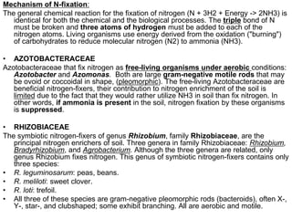 Lab.8 isolation of nitrogen fixer bacteria | PDF