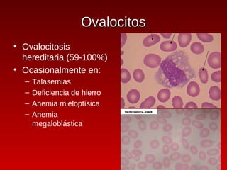 Lab.dehema1 | PPT