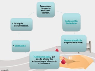 PRUEBA ASTO | PPT