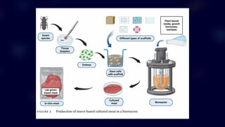 Lab Grown Insect Meat-A Chemical and Biological Exploration | PPTX