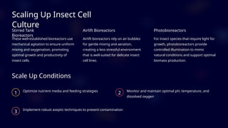 Lab Grown Insect Meat-A Chemical and Biological Exploration | PPTX