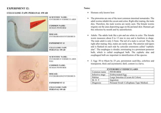 MICROBIOLOGY AND PARASITOLOGY LAB OSPE PDF | PDF