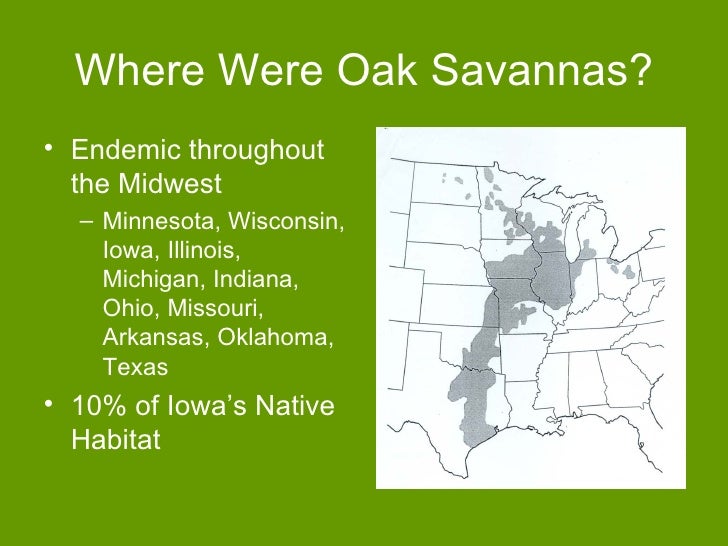 Oak Savanna Restoration in the Midwest