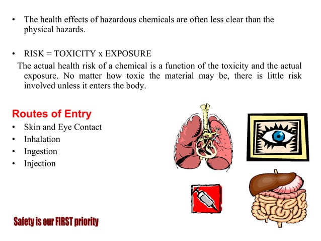 Lab. safety | PPT