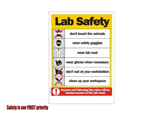 Lab. safety | PPT
