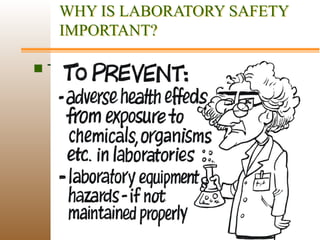 An introduction to undergraduate Lab-Safety for devgiri FINAL short 2.pptx