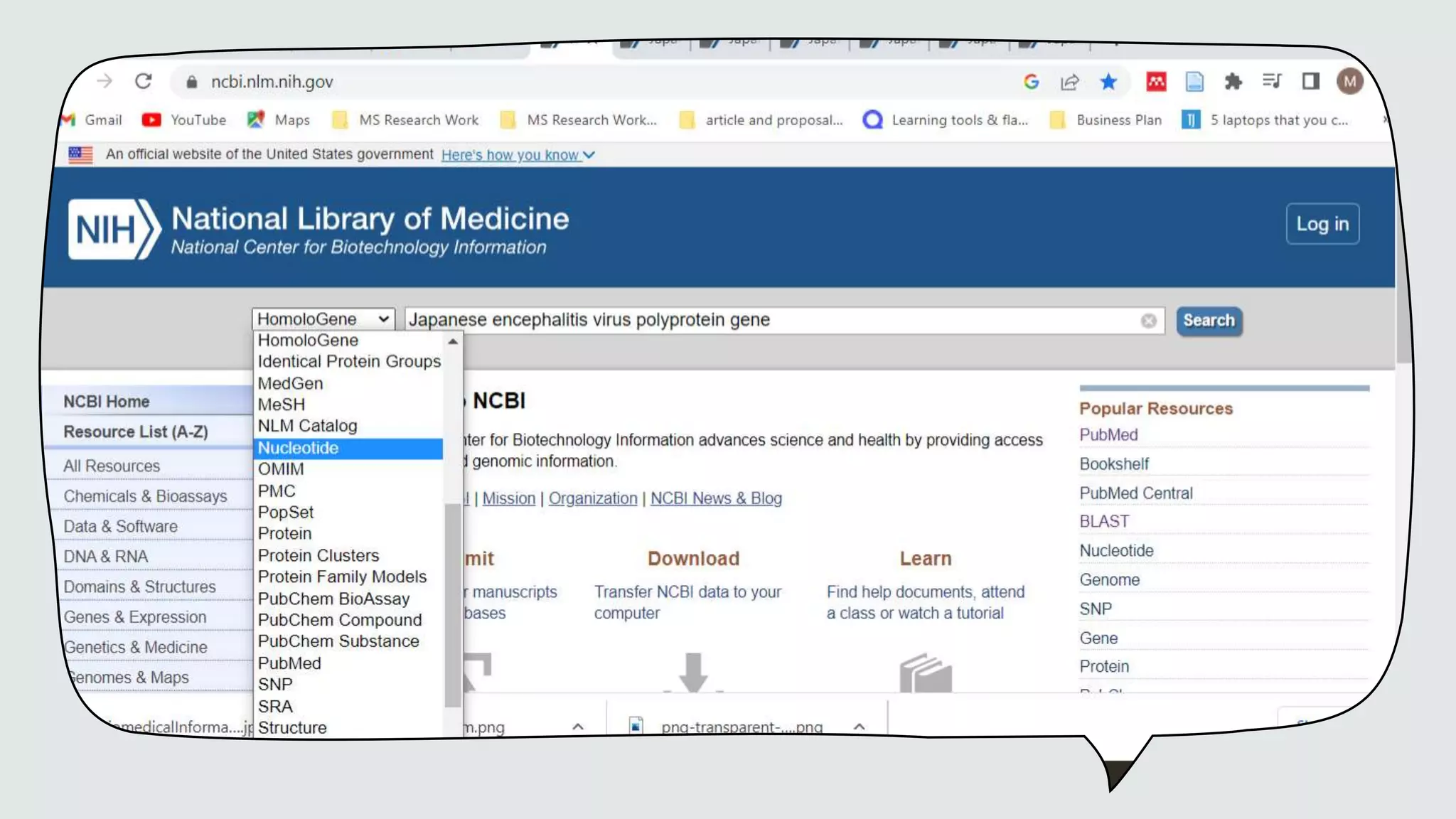 PRIMER DESIGNING.pptx