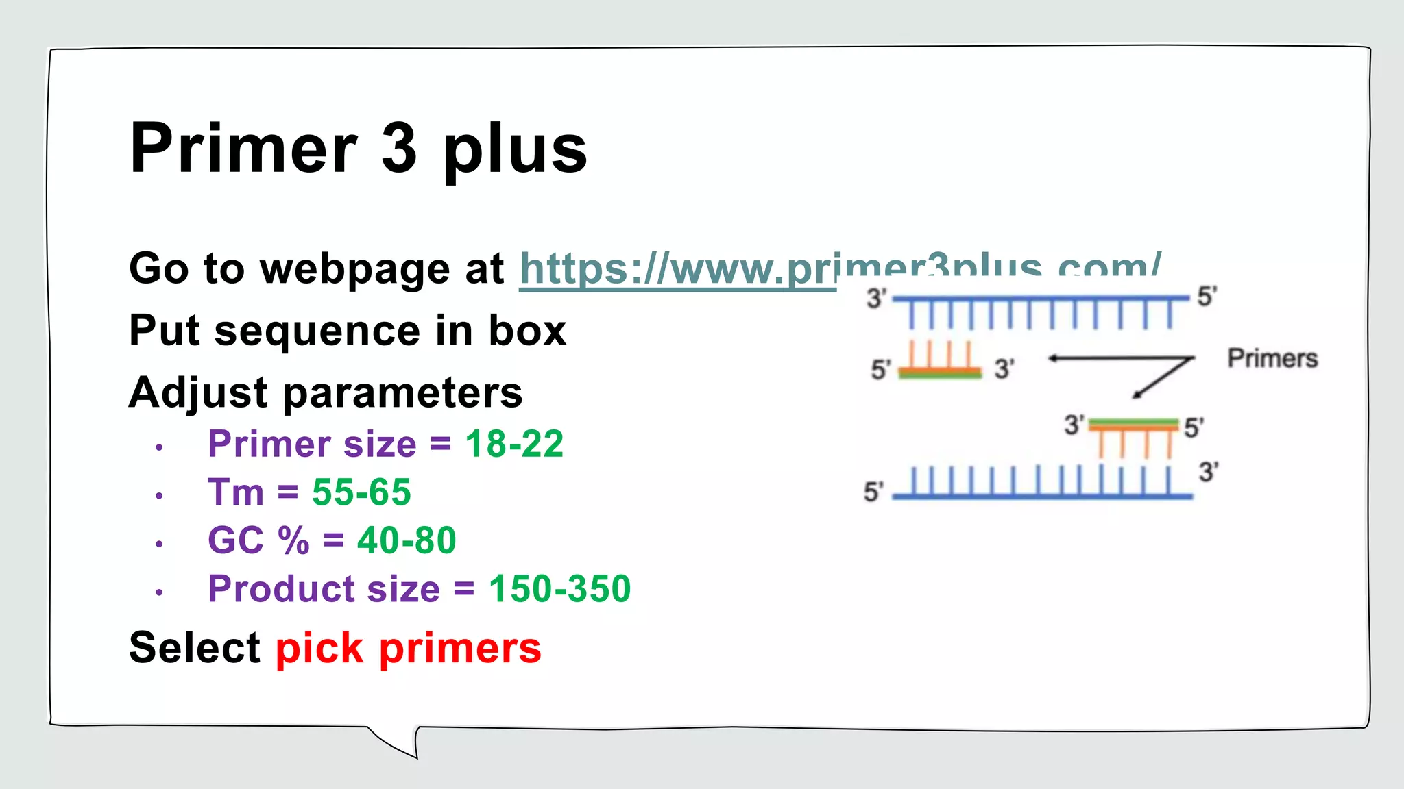 PRIMER DESIGNING.pptx