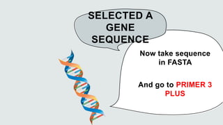 PRIMER DESIGNING.pptx | Genetics | Science