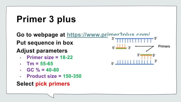 PRIMER DESIGNING.pptx | Genetics | Science