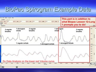 Lab 06 Spirometry | PPT
