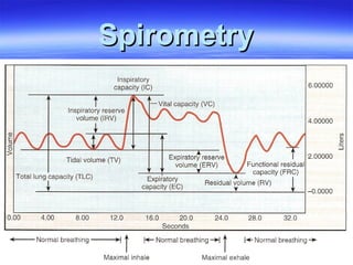 Lab 06 Spirometry | PPT
