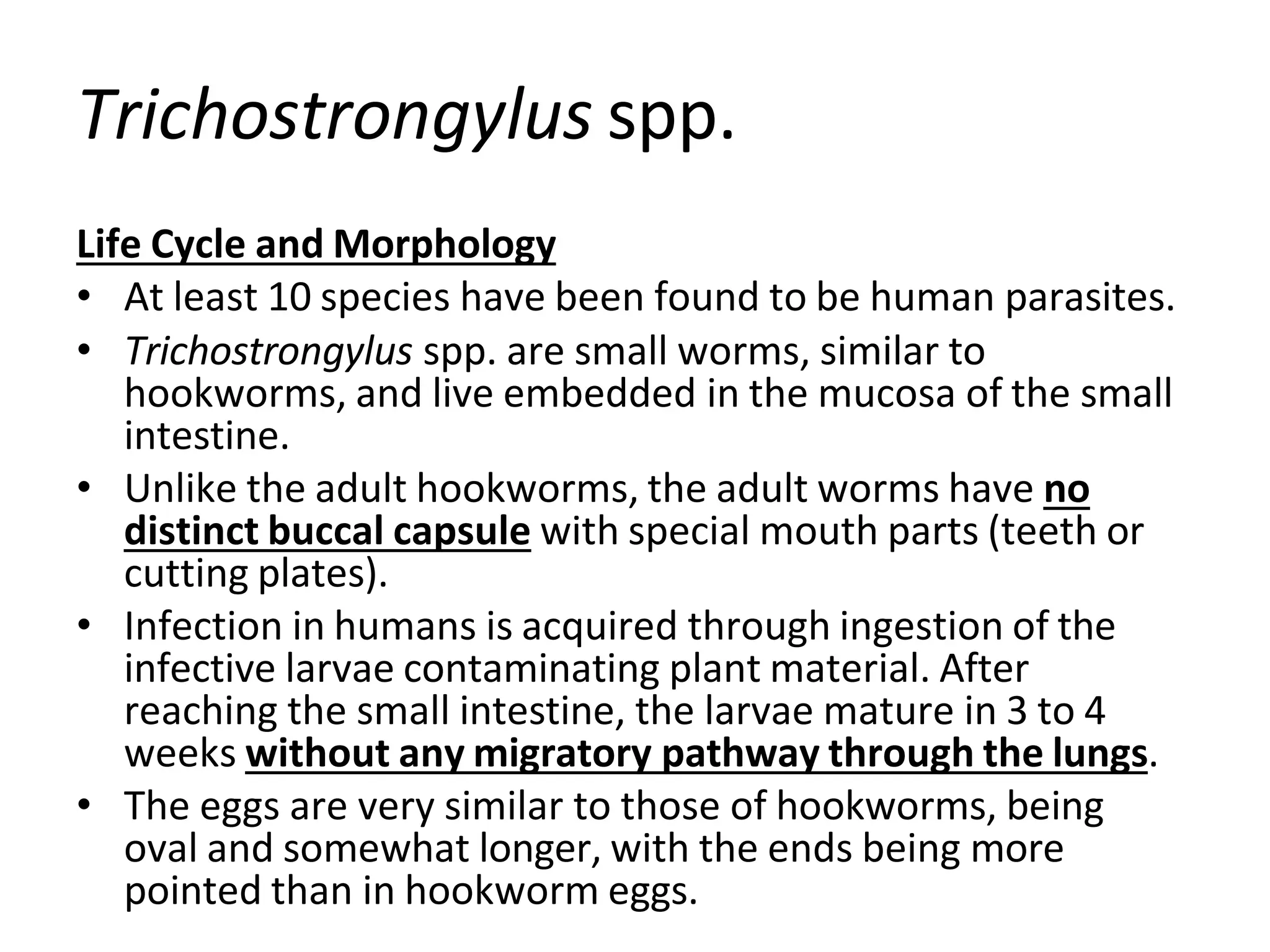 Overview of Intestinal Nematodes: Types, Life Cycle, and Diseases | PPT