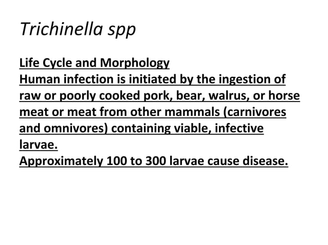 Overview of Intestinal Nematodes: Types, Life Cycle, and Diseases | PPT