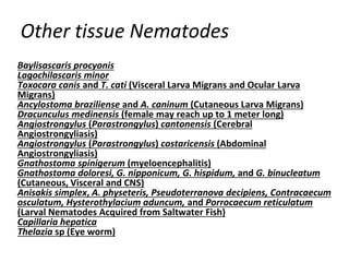 Overview of Intestinal Nematodes: Types, Life Cycle, and Diseases | PDF
