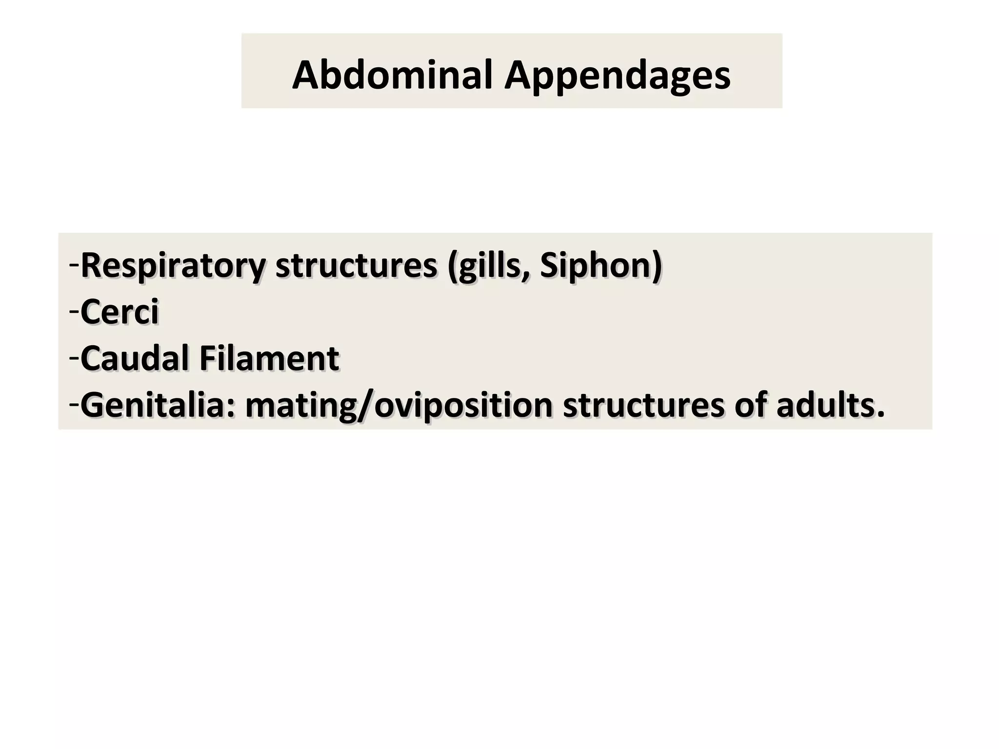 Lab09 entomology | PPT