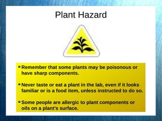 Lab 0-A Lab Safety Training | PDF | First Aid | Injuries