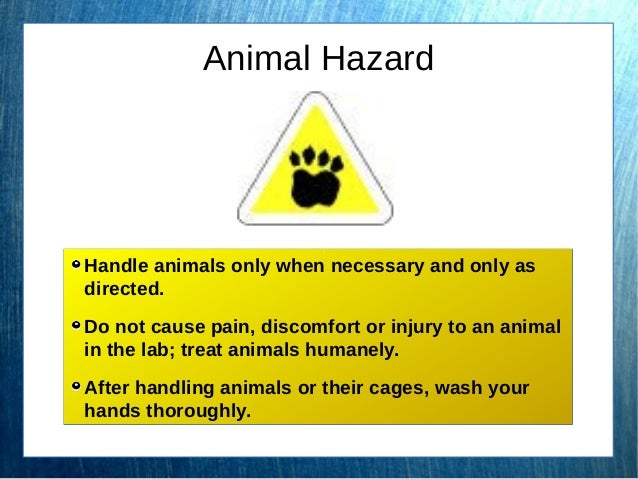 Lab 0-A Lab Safety Training