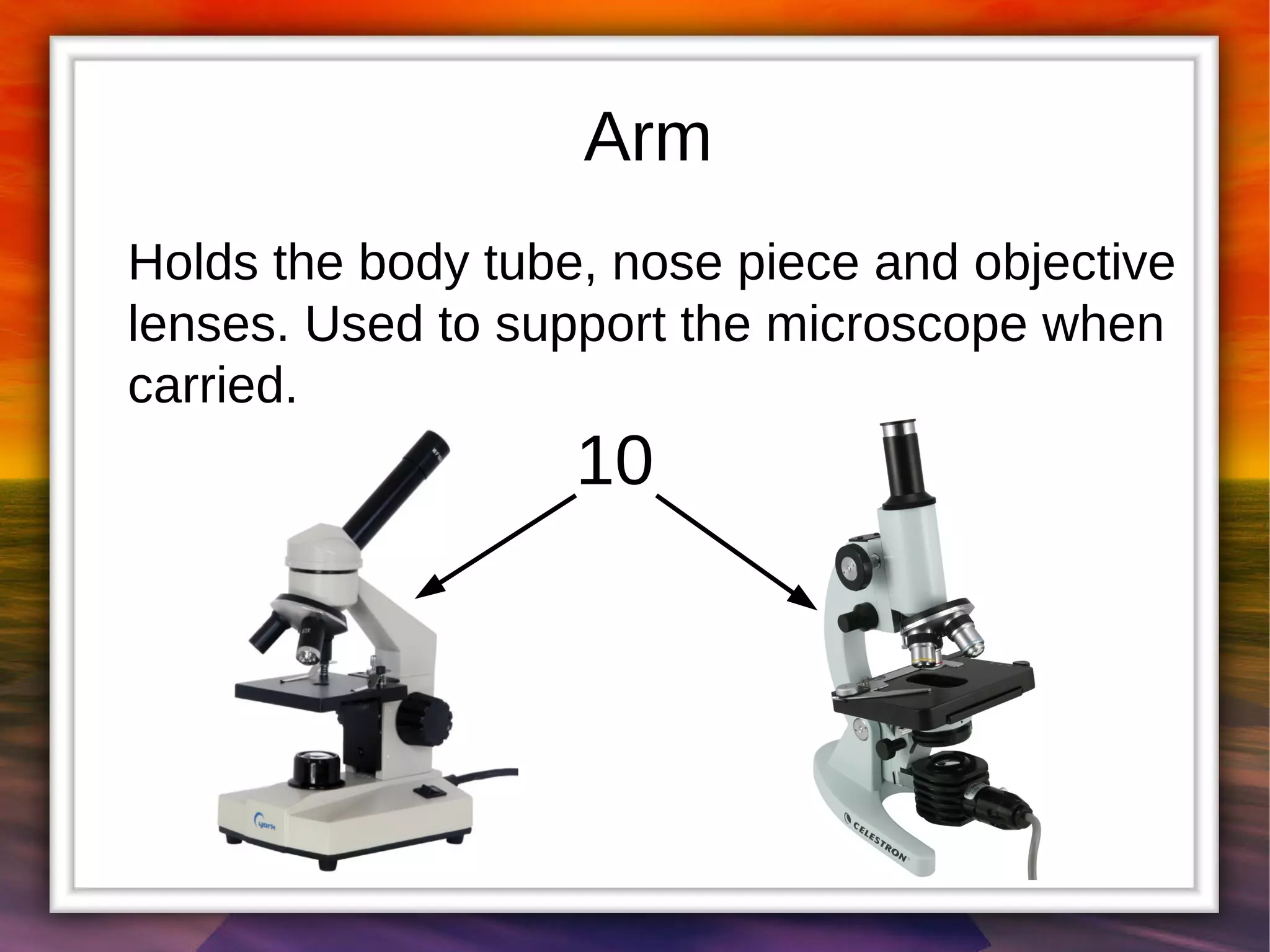 Lab 0-B Microscope Training | PDF