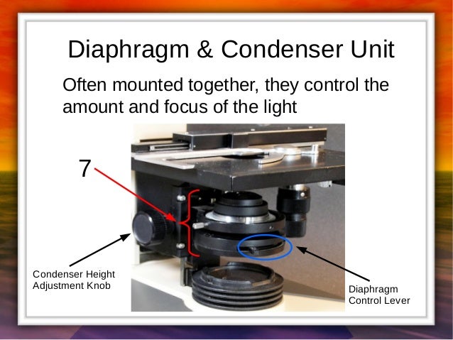 Lab 0-B Microscope Training