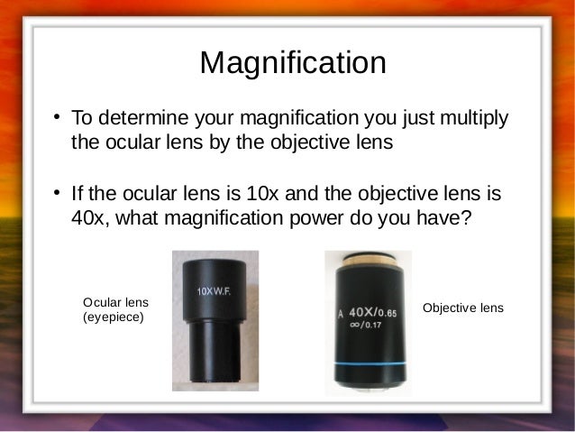 Lab 0-B Microscope Training