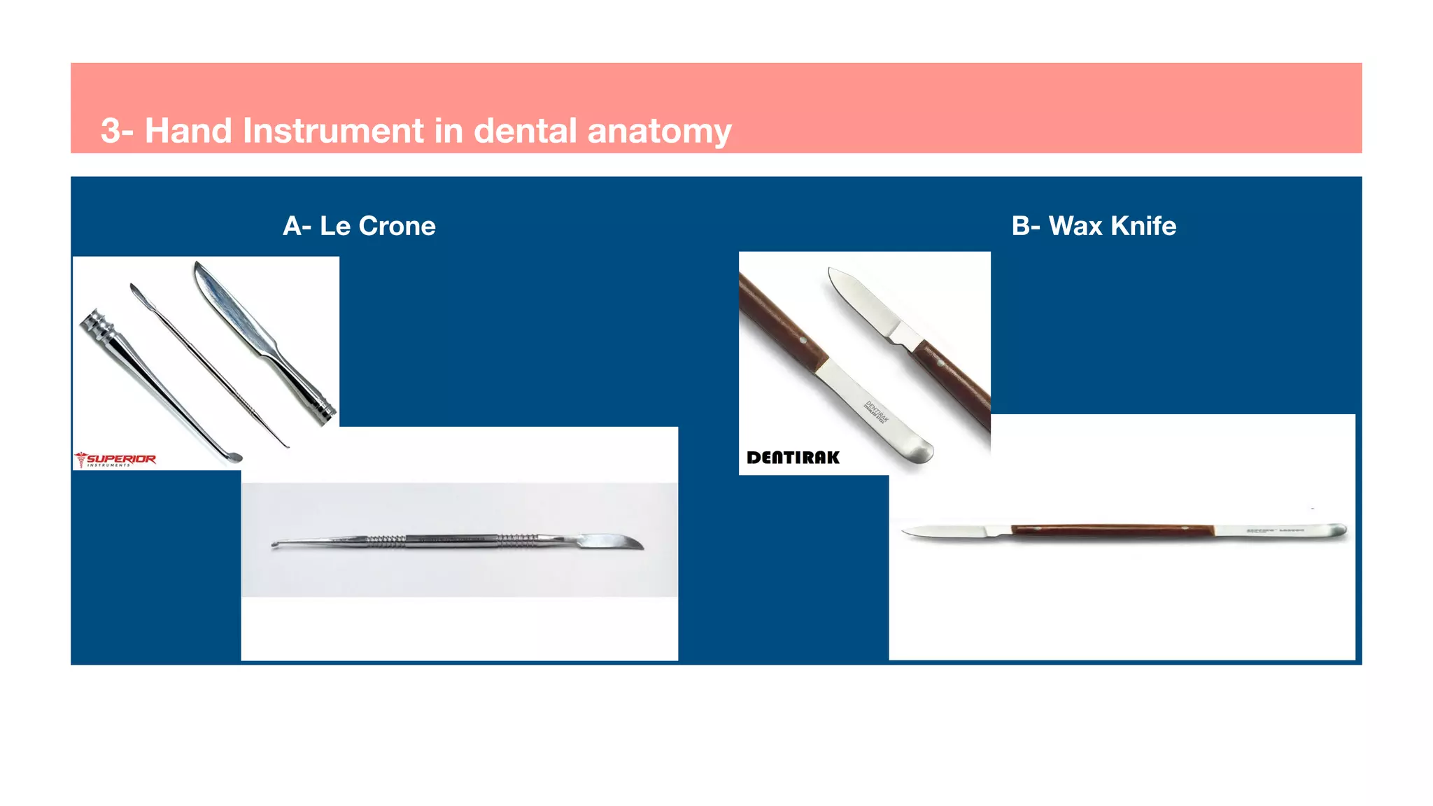 Dental Anatomy | Lab 1 | PDF