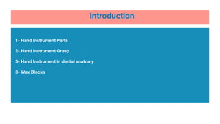 Dental Anatomy | Lab 1 | PDF